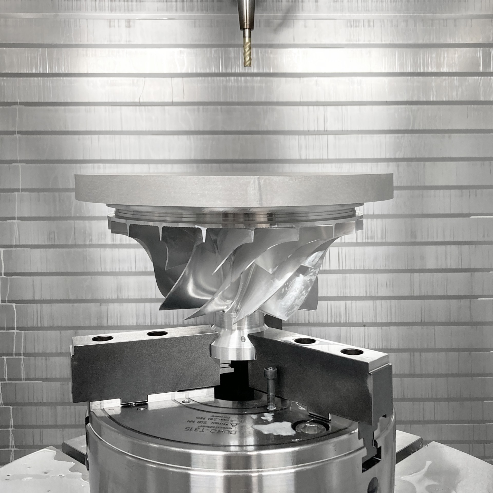 Debut for the new 19 Series